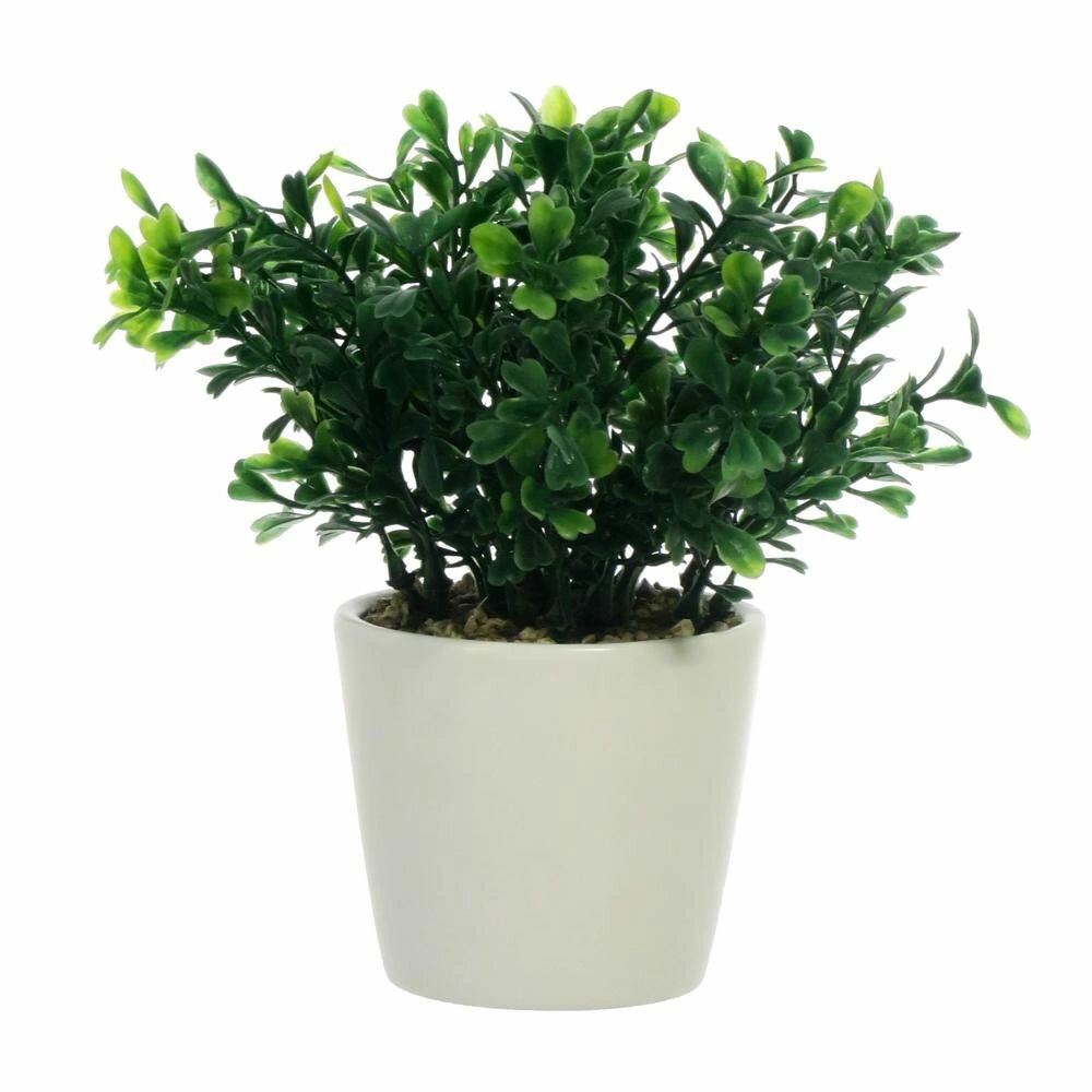 Растение искусственное Самшит Точ в керамическом кашпо высота 15 см