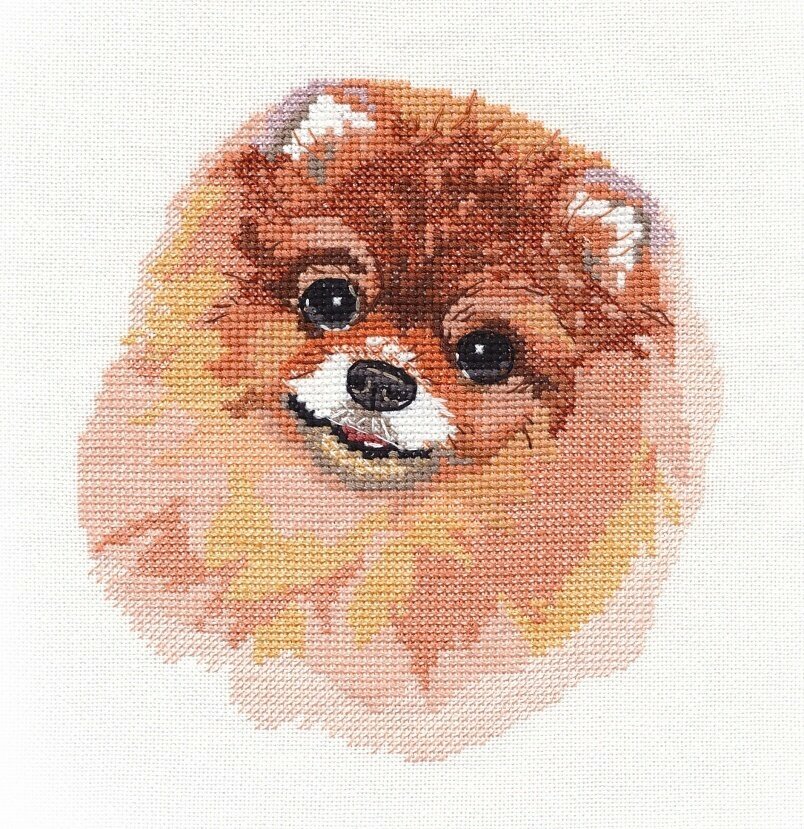 Набор для вышивания крестиком Овен Шпиц, 14*16 см (овен.1324)