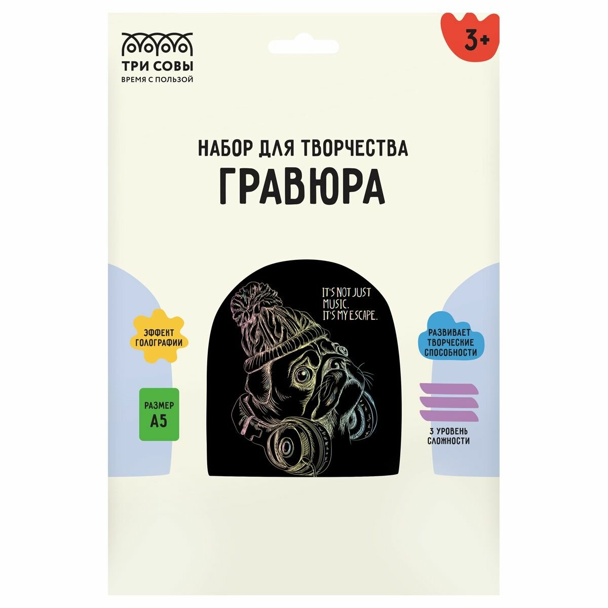 Гравюра ТРИ совы "Меломан", с голографическим эффектом, А5 (GA5_48300)