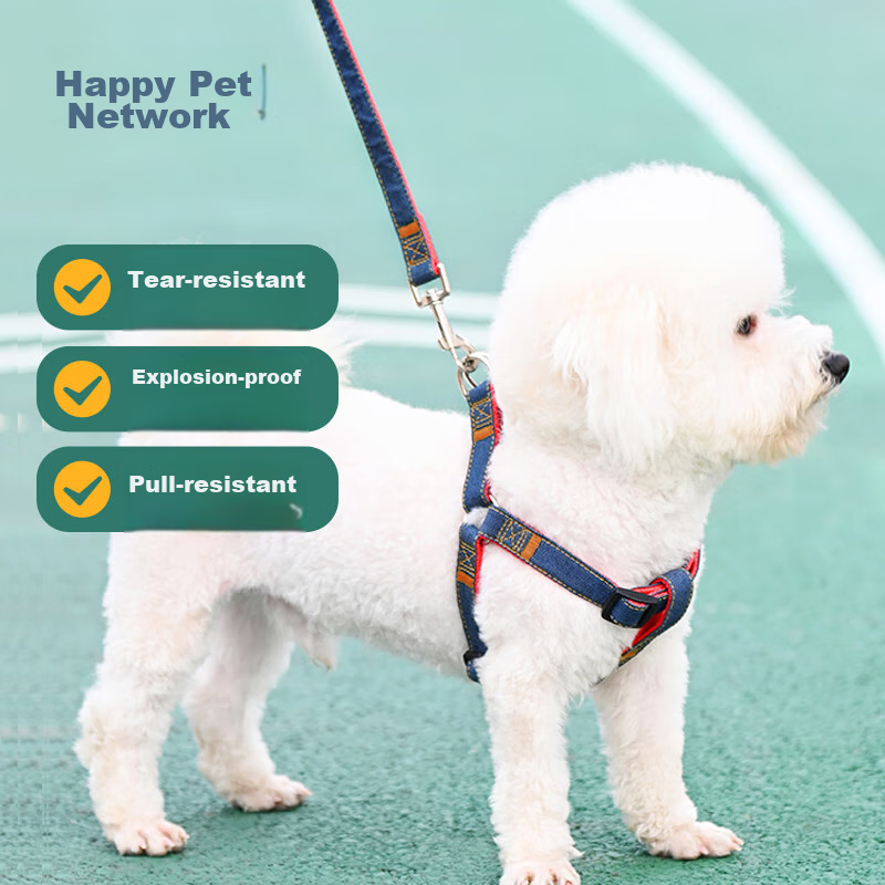 Huanchong Dog Leash, Dog Walking Lead, Dog Harness, Pet Leash, Dog Chain, Pet Harness for Large And Small Dogs