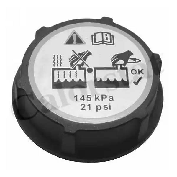 VERNET ET0129C1 бачок расширительный\ Ford (Форд) Focus (Фокус) II 04-11 / c-max 03-07 / kuga dr 08-12