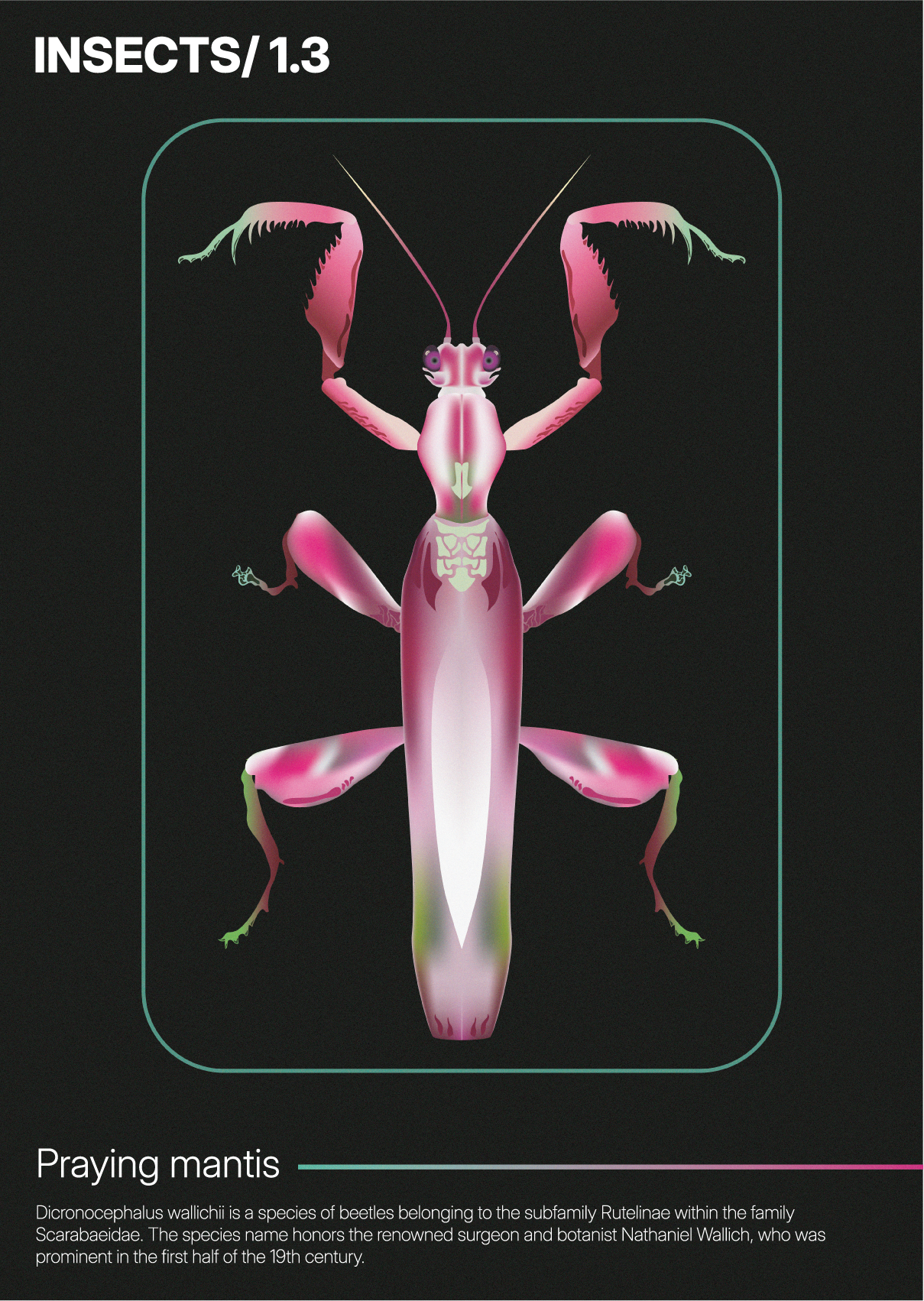 Постер DEPARTMENT "Insects 1.3" , А2, графическое изображение жука, рулонная 180 г