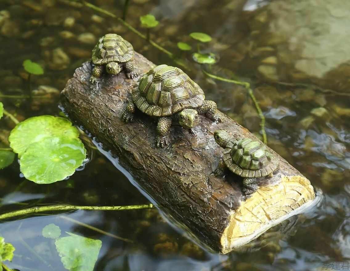 Креативные садовые украшения в виде черепах из смолы