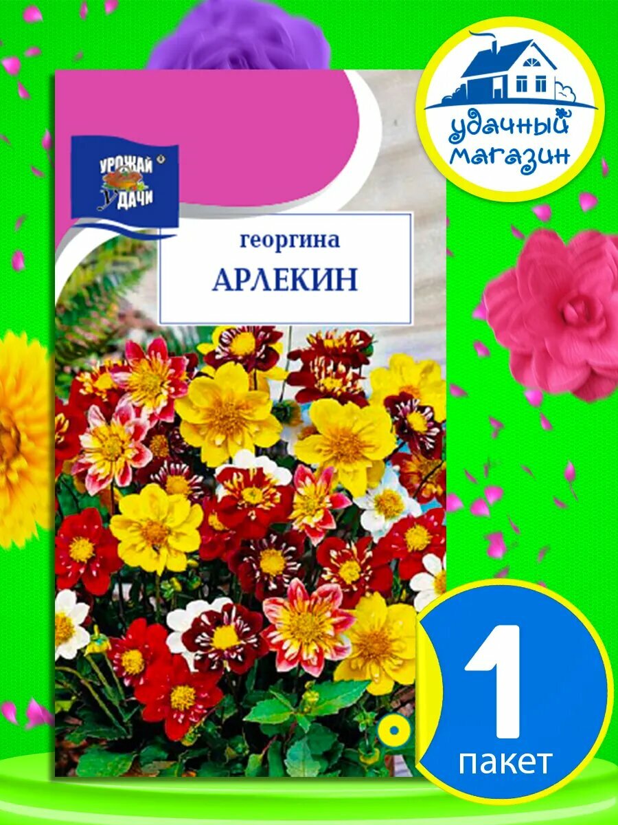 Семена георгинов Урожай Удачи "Арлекин", низкорослые, махровые, 3 пакета