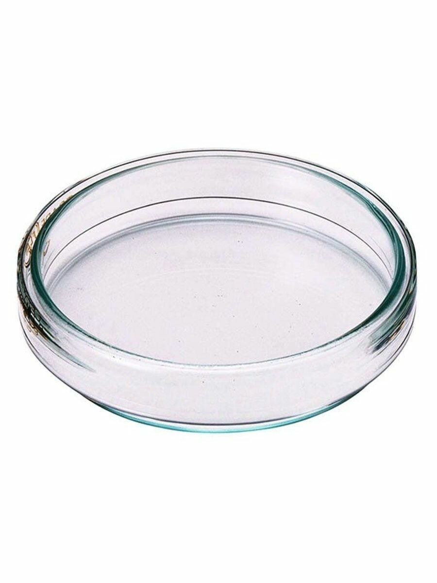 Чашка Петри, лабораторная, бесцветная, стекло, диаметр 10см, высота 1.5см