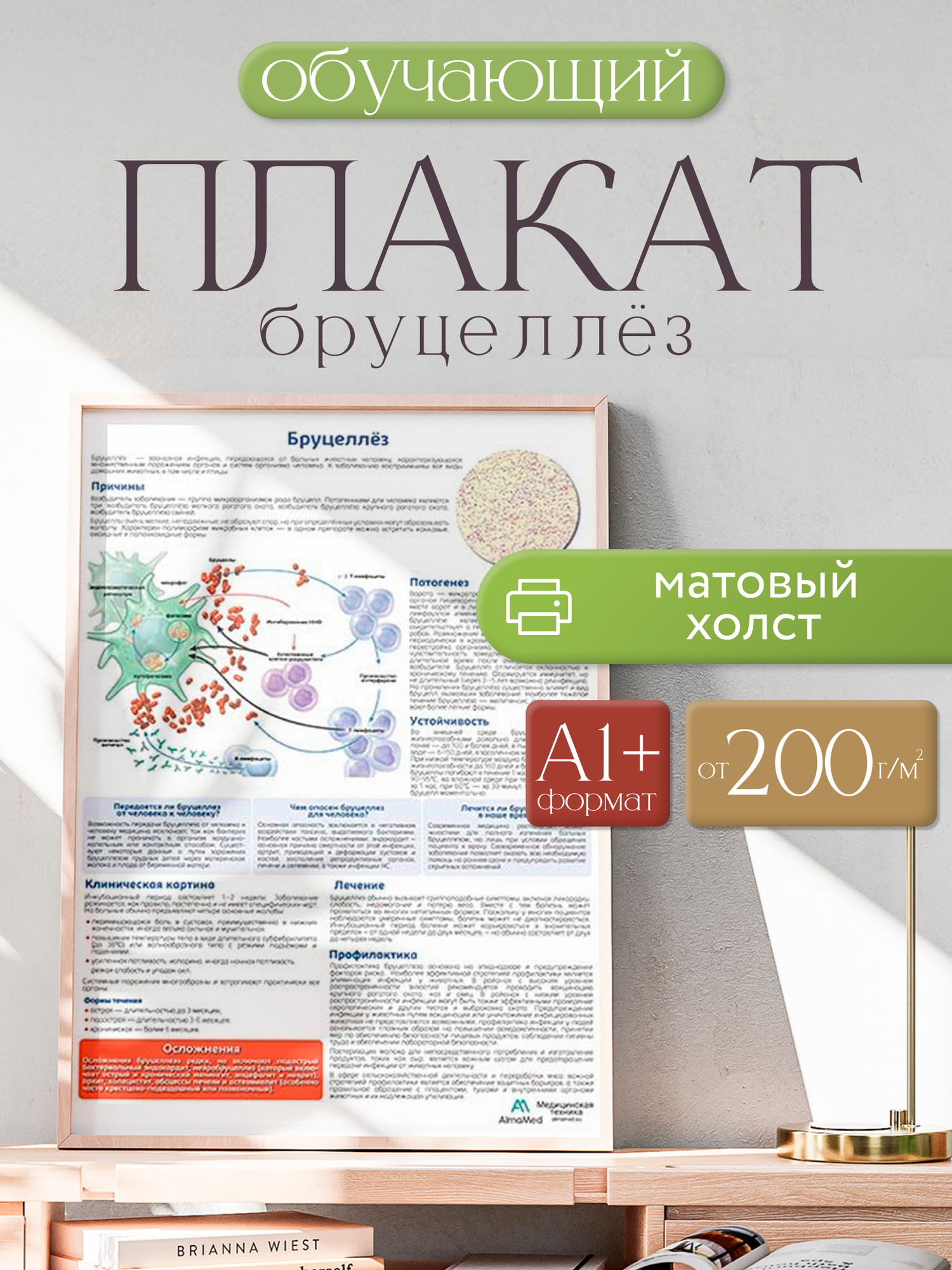 Бруцеллёз медицинский плакат, матовый холст от 200 г/кв. м, размер A1+