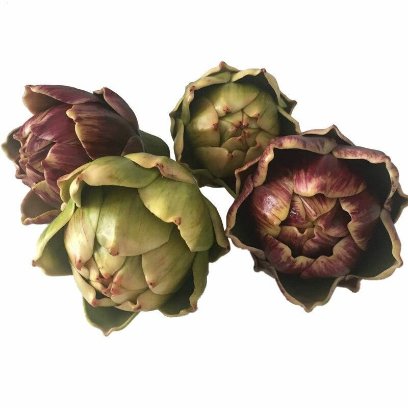 Стабилизированные цветы