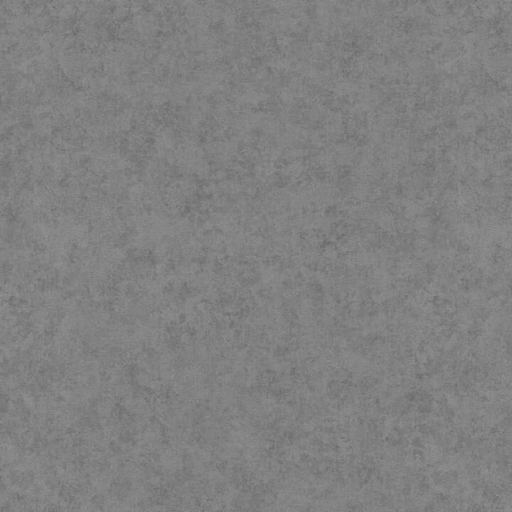 Обои виниловые на флизелине Erismann (Эрисманн) Spotlight 2 10.05х1.06 м, ER12214-34