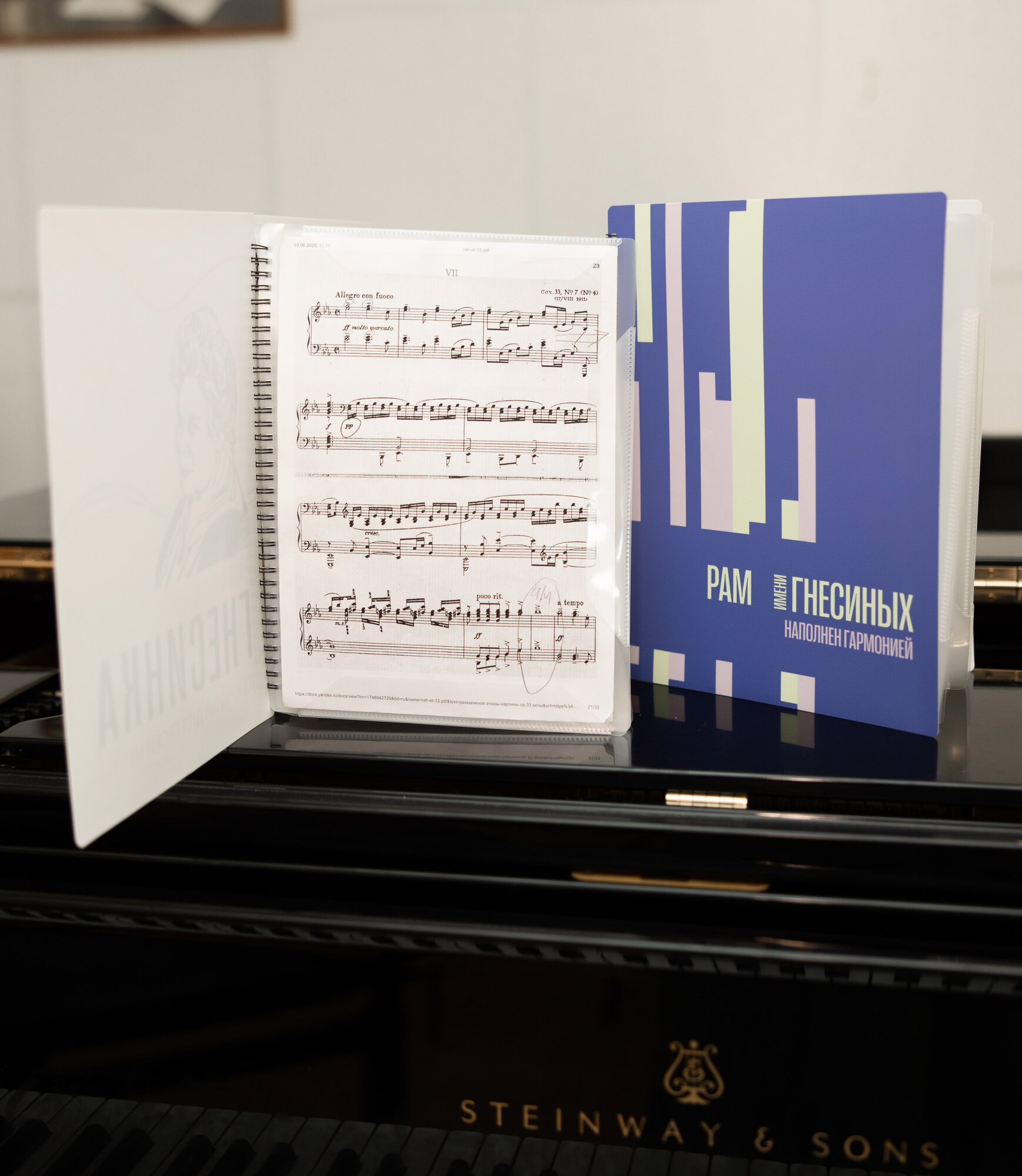 Папка для нот А4 на кольцах фиолетовая "Наполнен гармонией", РАМ имени Гнесиных, официальный мерч