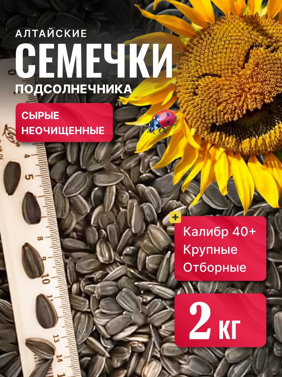 Семечки подсолнечника Алтайские сырые 2 кг, крупные