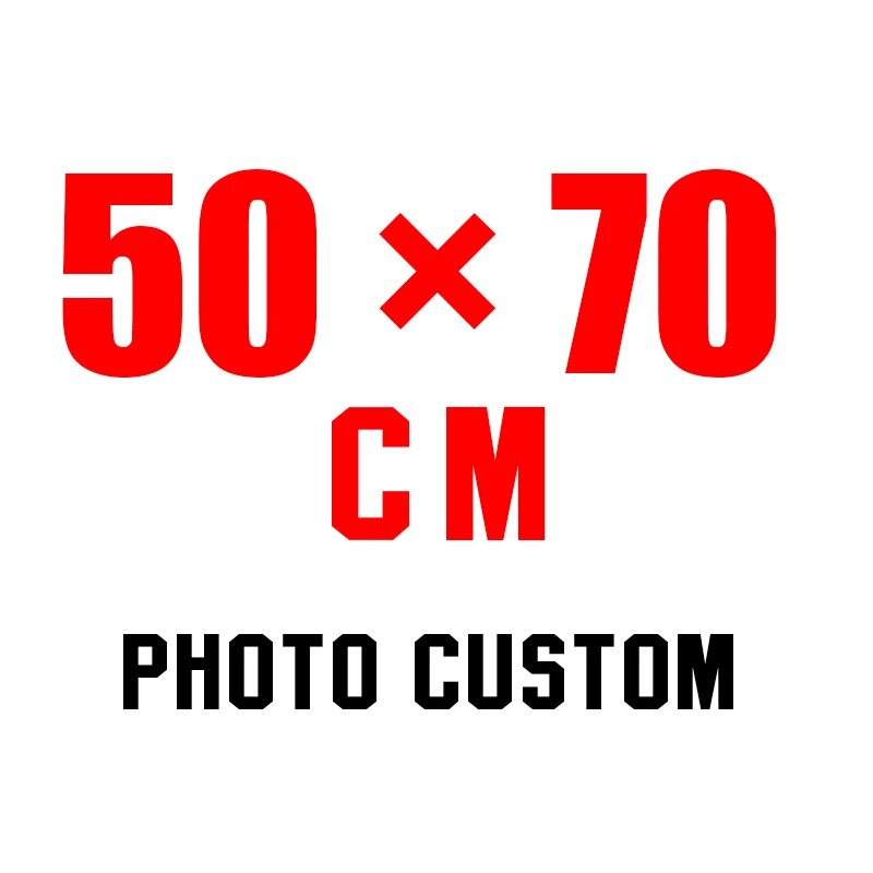 Наборы для вышивания крестиком по фото на заказ, 11CT/14CT, Silk Threads, 50x70cm, 14 карат