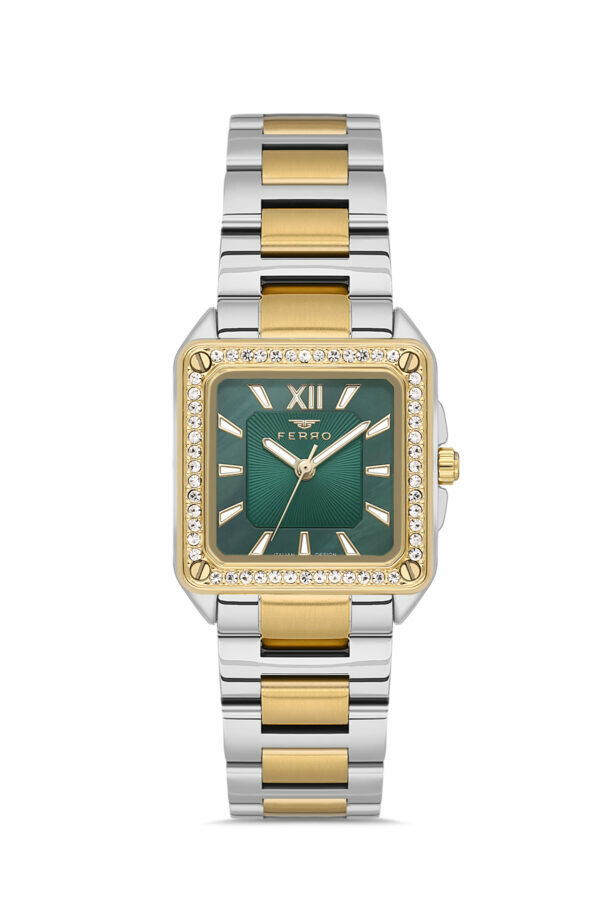 Наручные часы Ferro