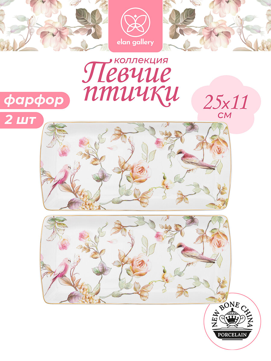 Блюдо сервировочное 2 пр. Elan Gallery Певчие птички, 25х11,5х1,5 см, фарфор, набор