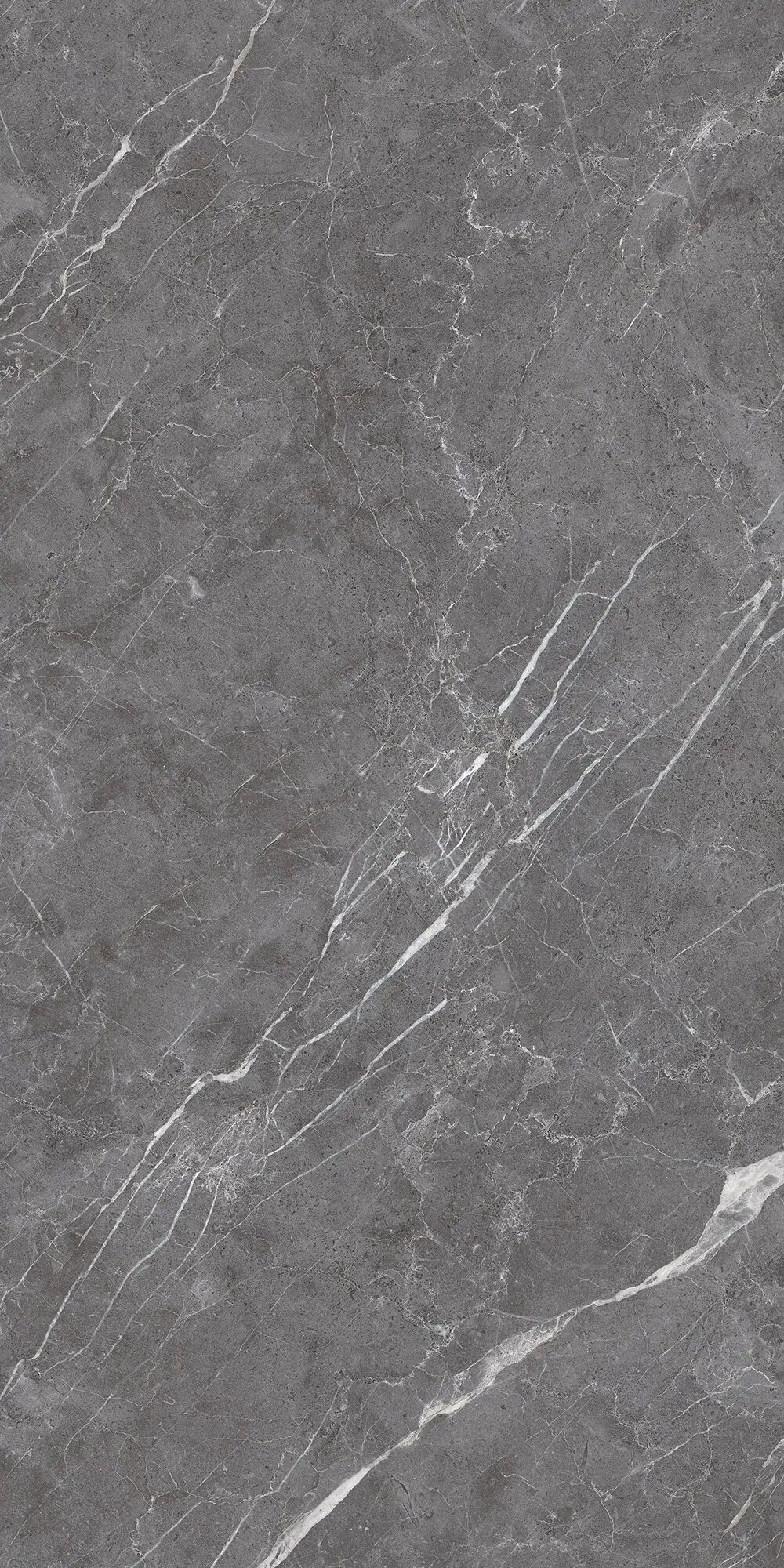 Керамогранит Arcadia Ceramica 60х120 CL4003-A 60x120 Карвинг, Лаппатированная Серый