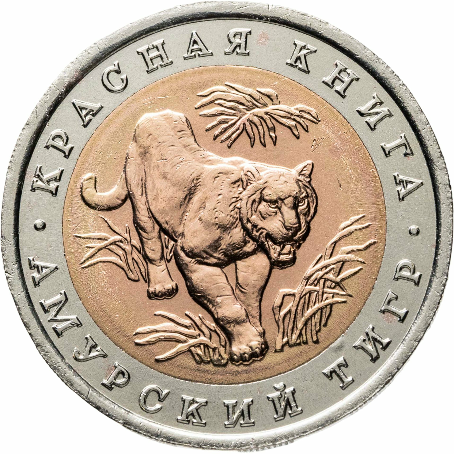 10 рублей 1992 ЛМД амурский тигр, Биметалл, в сохранности XF-AU