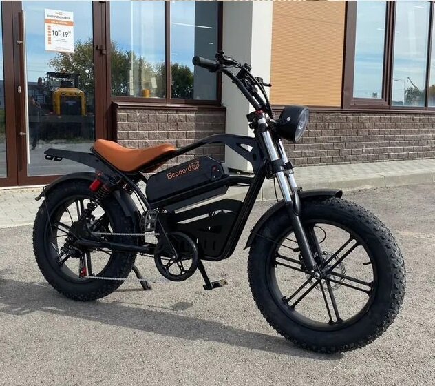 Электровелосипед SKY WAY Gepard Harley, 7 скоростей, 750Вт, 60км/ч, 20x4.0, с педалями