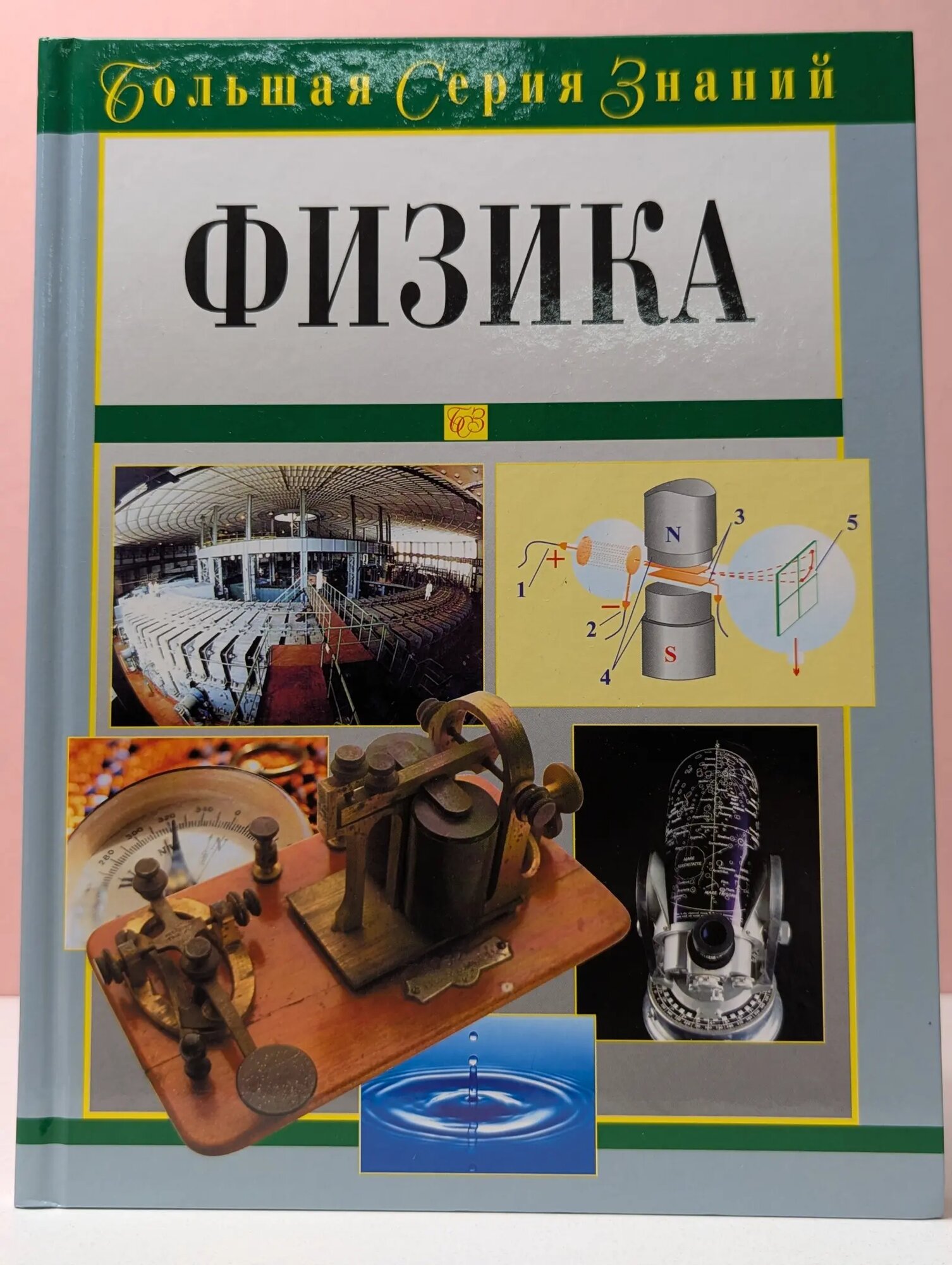 Физика Брилев Денис Валентинович 2006