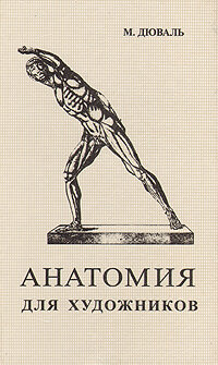Анатомия для художника
