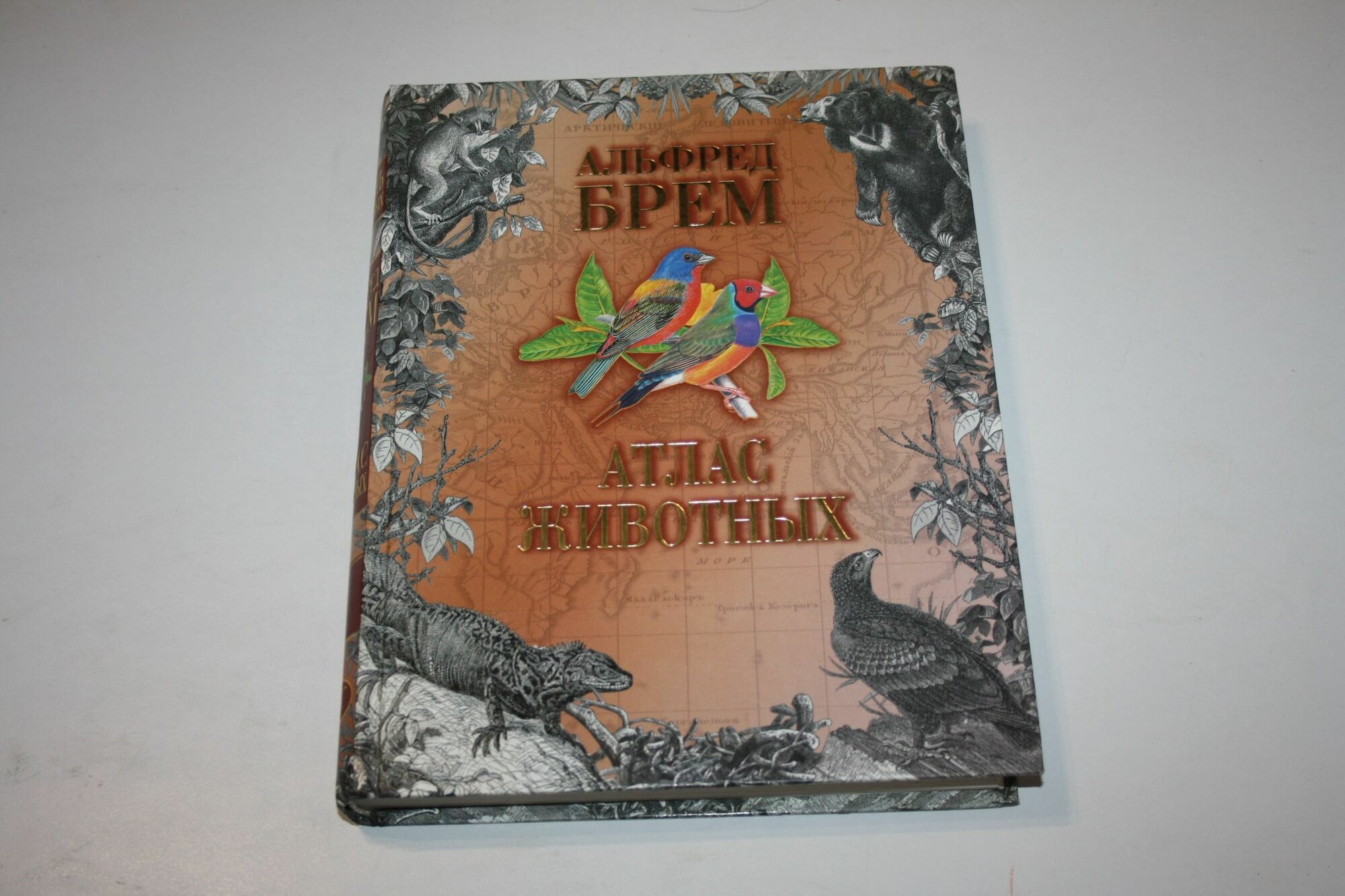 Атлас животных. В двух томах. Том 1