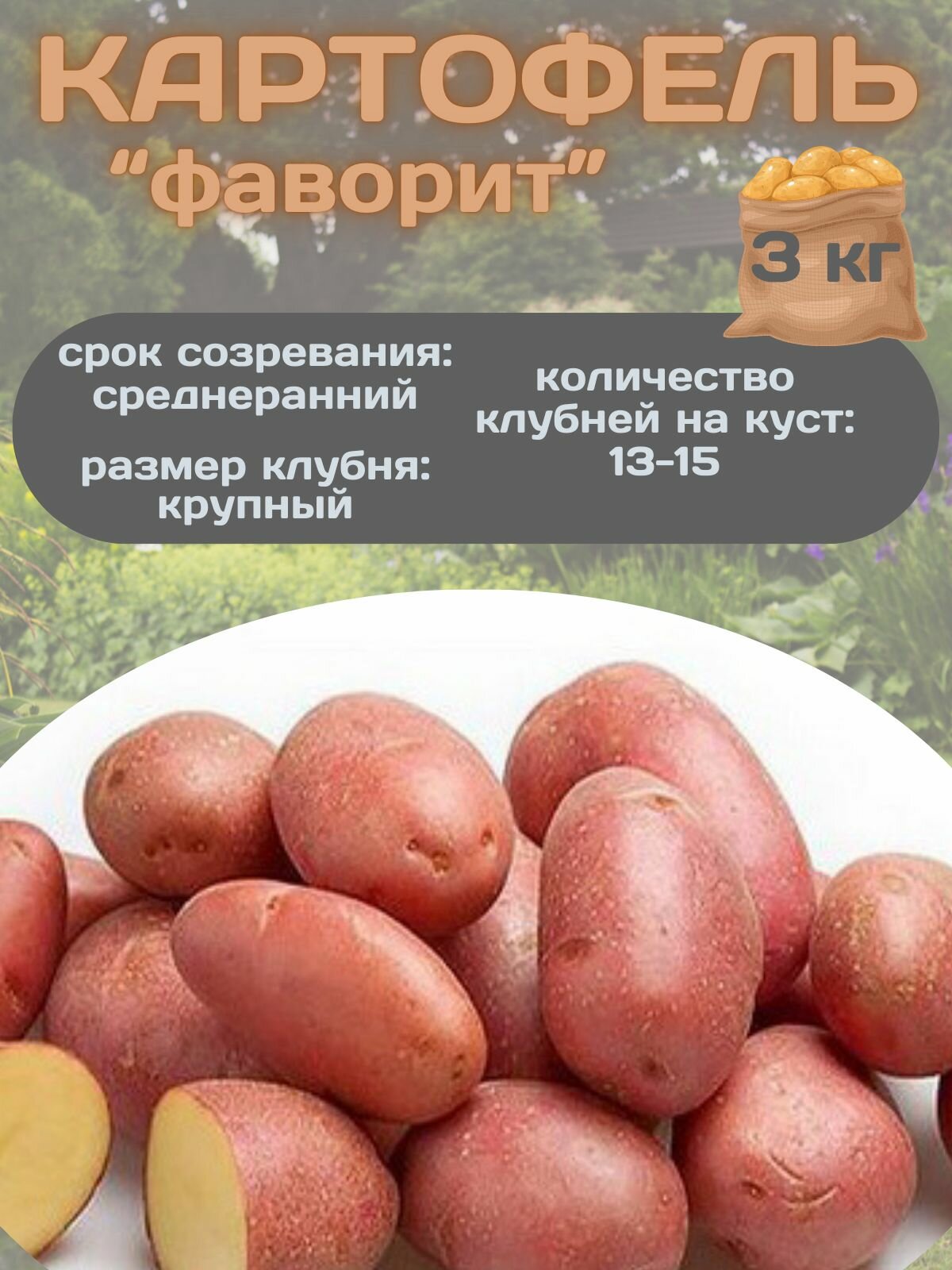 Картофель семенной Фаворит 3 кг, на посадку
