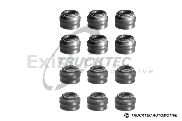 Маслосъёмный колпачок (комплект) 1030500058/ Trucktec 02.43.108
