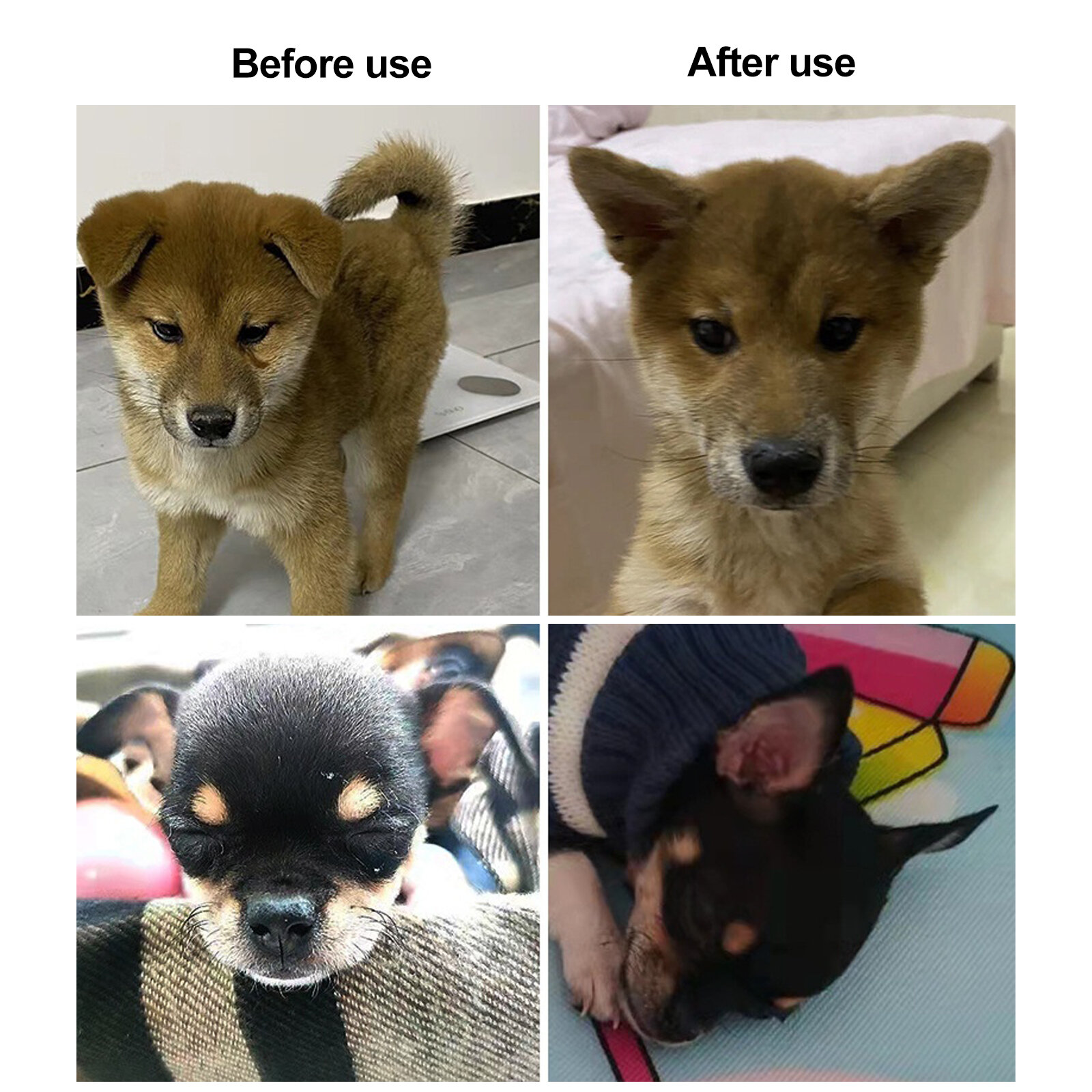 1 пара патчей для поддержки ушей собаки, наклейка на подставку для собачьих ушей, фиксированная коррекция для ушей, вертикальный держатель