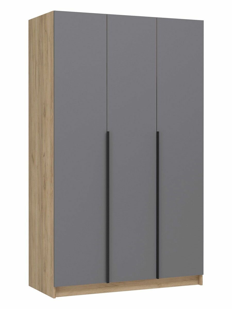 Распашной шкаф для одежды и хранения вещей Рейми со штангой, с полками, с ящиками, 120х55х200 см, Дуб Крафт золотой / Графит серый