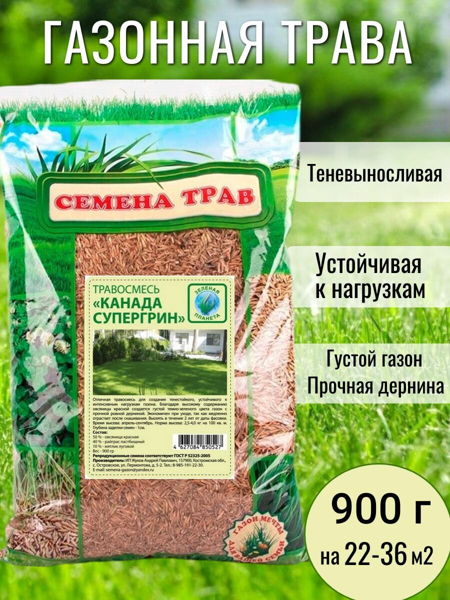 Газонная трава семена Канада Супергрин 900 г, теневыносливая, устойчивая к нагрузкам