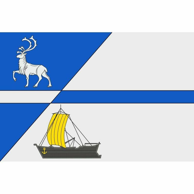 Флаг Дудинки 135x90 см.