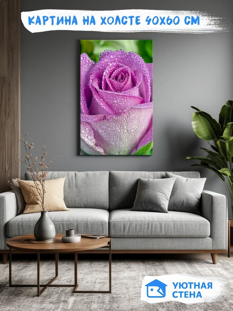 Картина на натуральном холсте Уютная стена "Бутон фиолетовой розы с каплями воды" 40х60 см