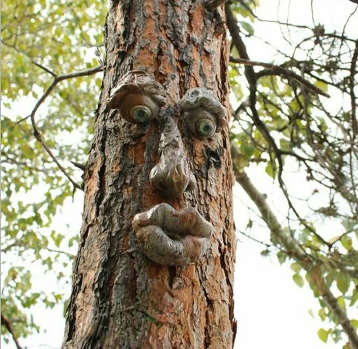 Забавные черты лица древесного монстра в форме коры, садовое украшение