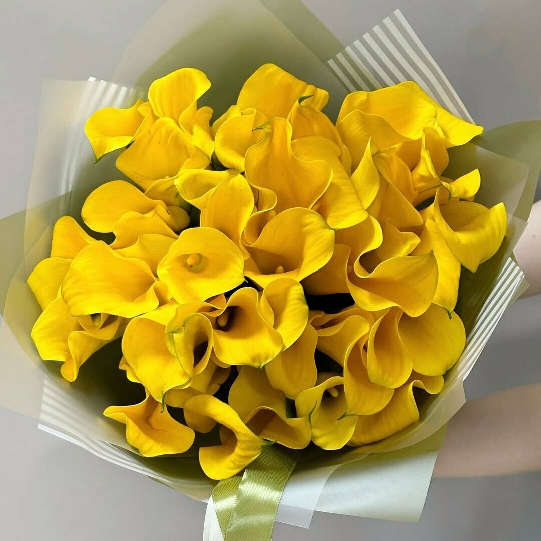 Букет из жёлтых калл 49 шт, красивый букет цветов, шикарный, премиум цветы, премиум букет
