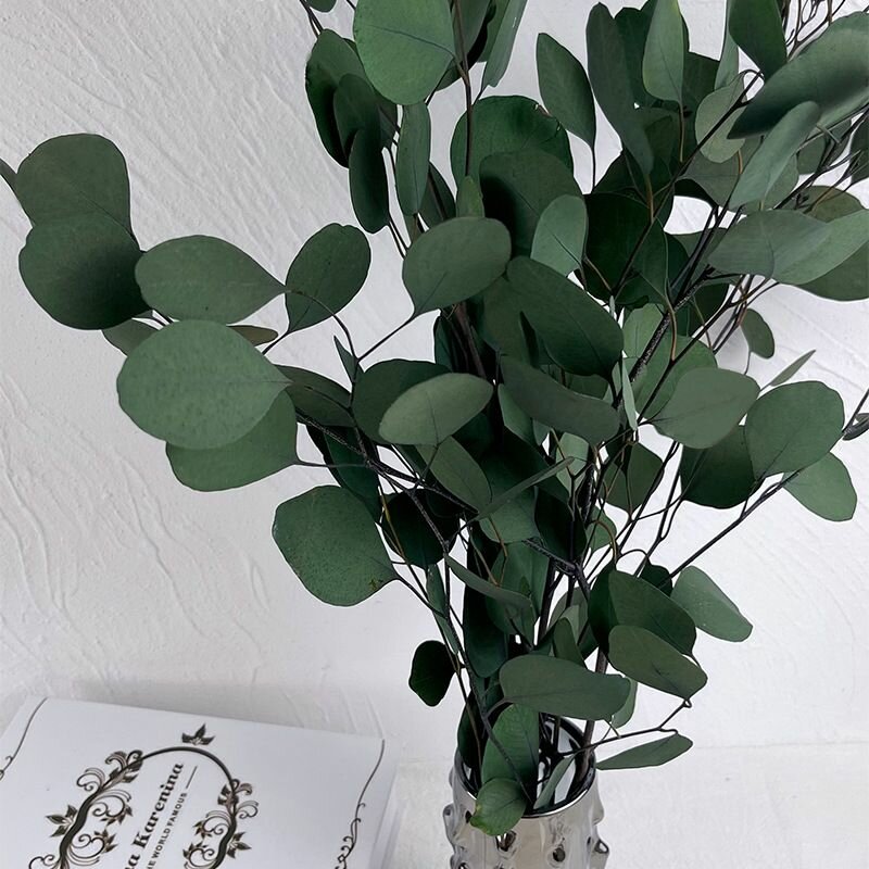 Сухоцветы Эвкалипт, 55 см, 120 гр