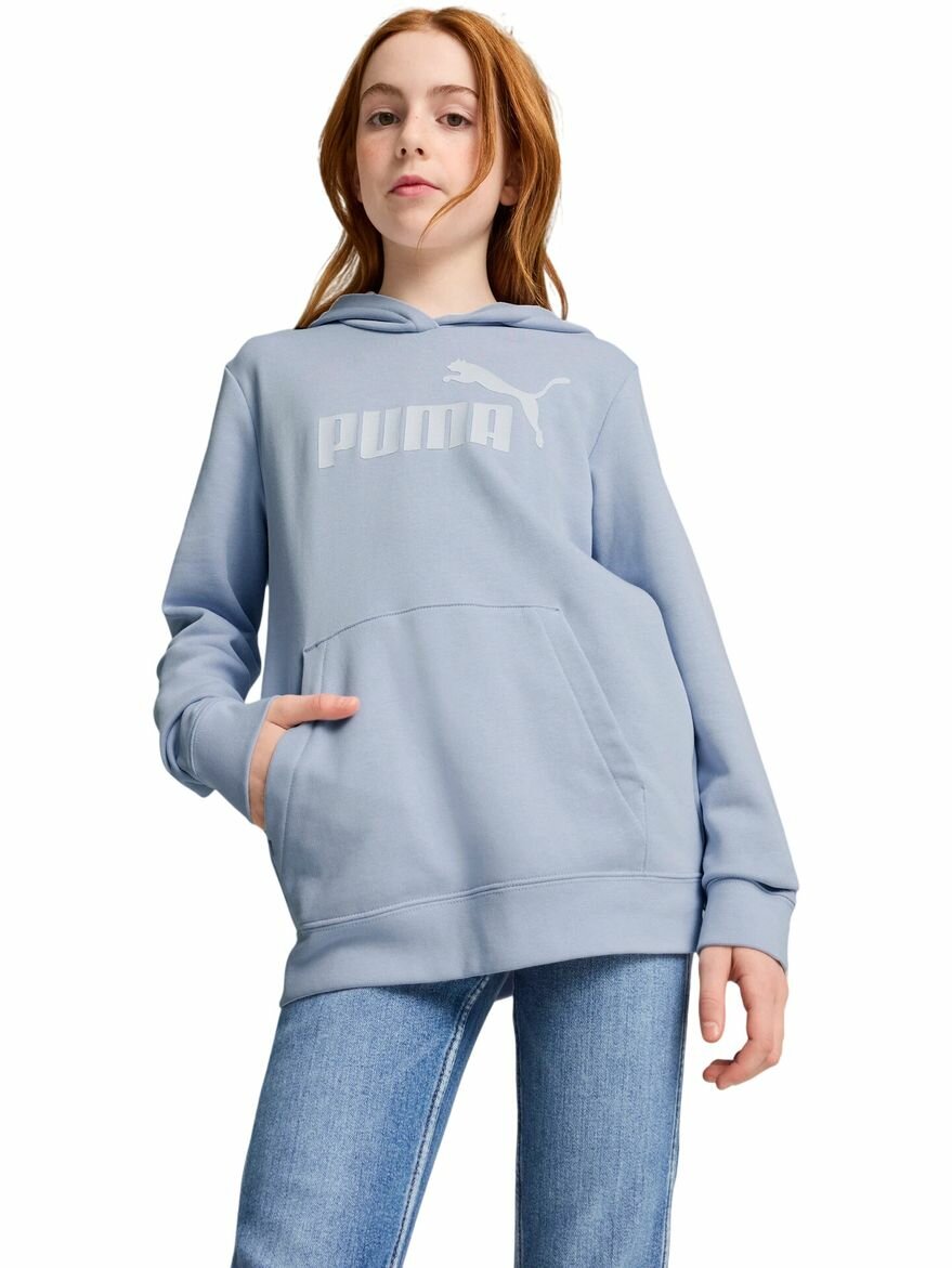 Худи ESS No. 1 Logo Hoodie TR G