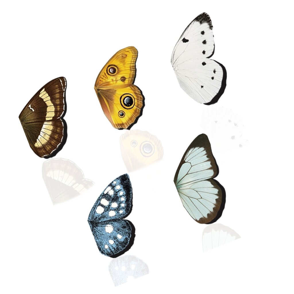 Зажим для магнитных закладок-бабочек Держатель страницы книги для любителя книг, студента и ребенка