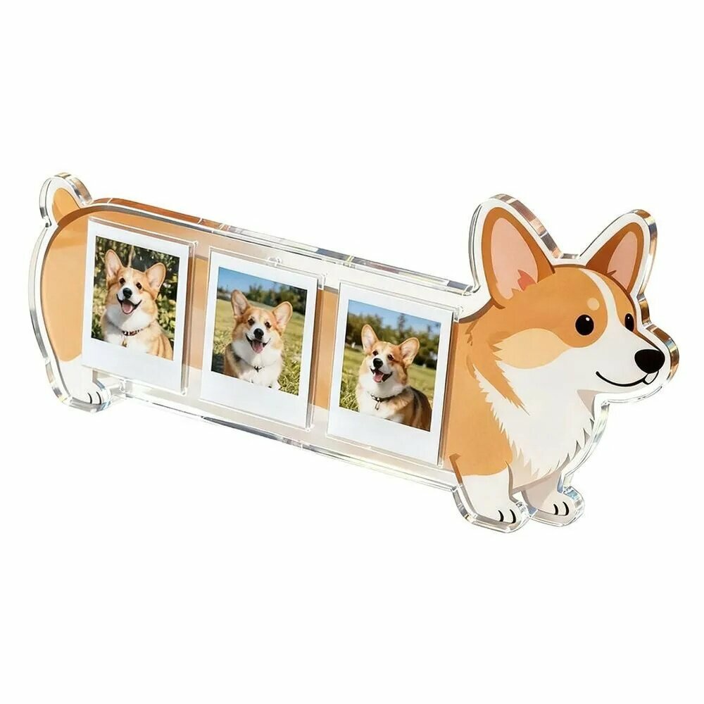 Филантроп Фоторамка, 3 фото