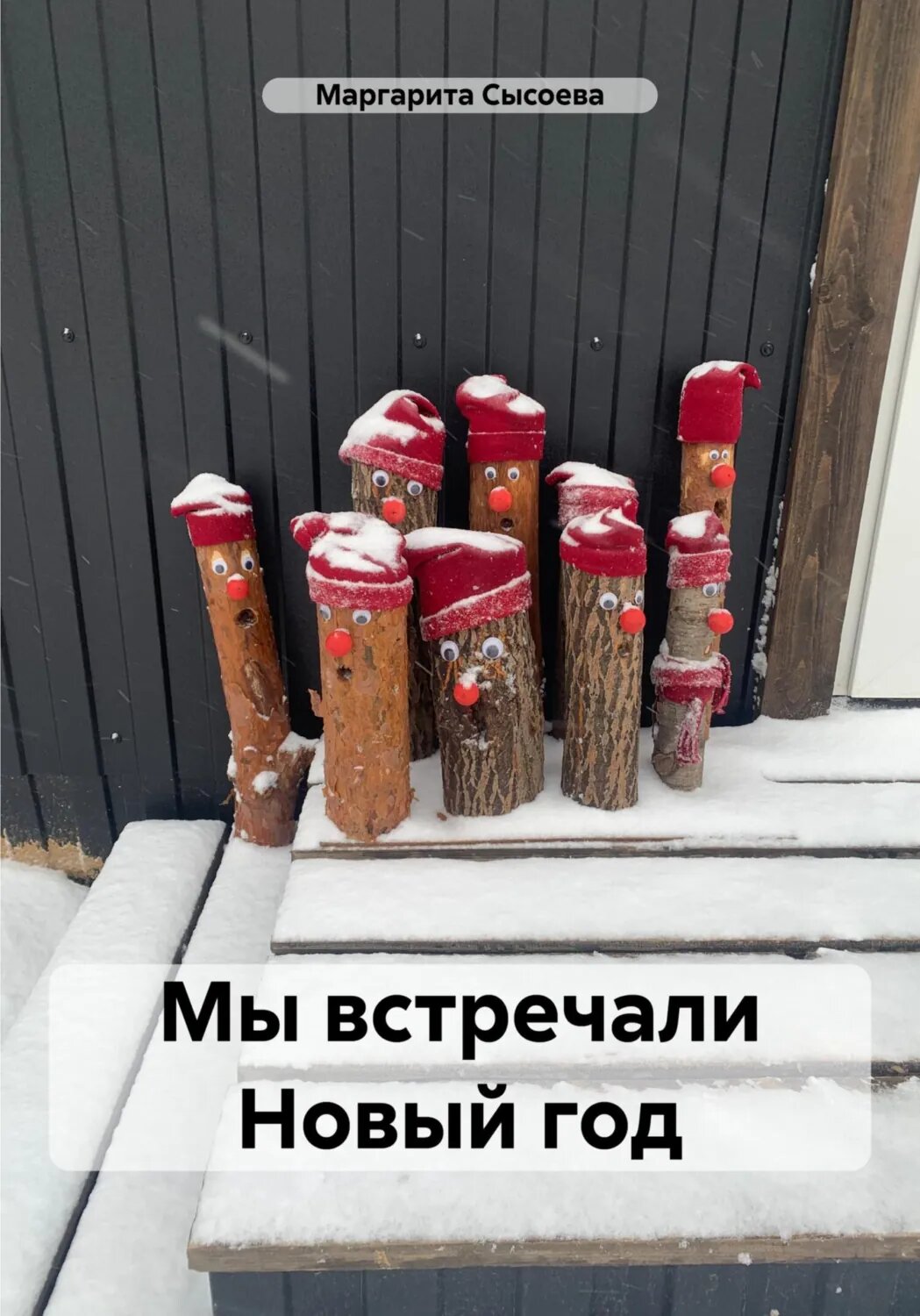 Мы встречали Новый год [Цифровая книга]
