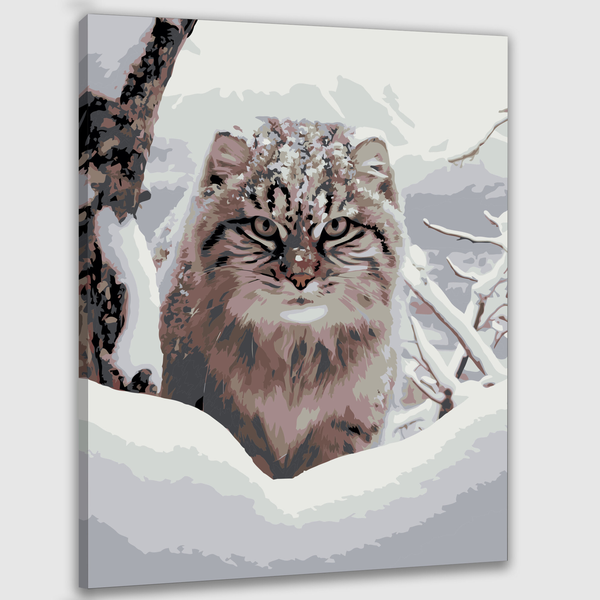 Картина по номерам 40x50 см, Манул, фотография, северные территории, естественная среда обитан, заснеженные скалы