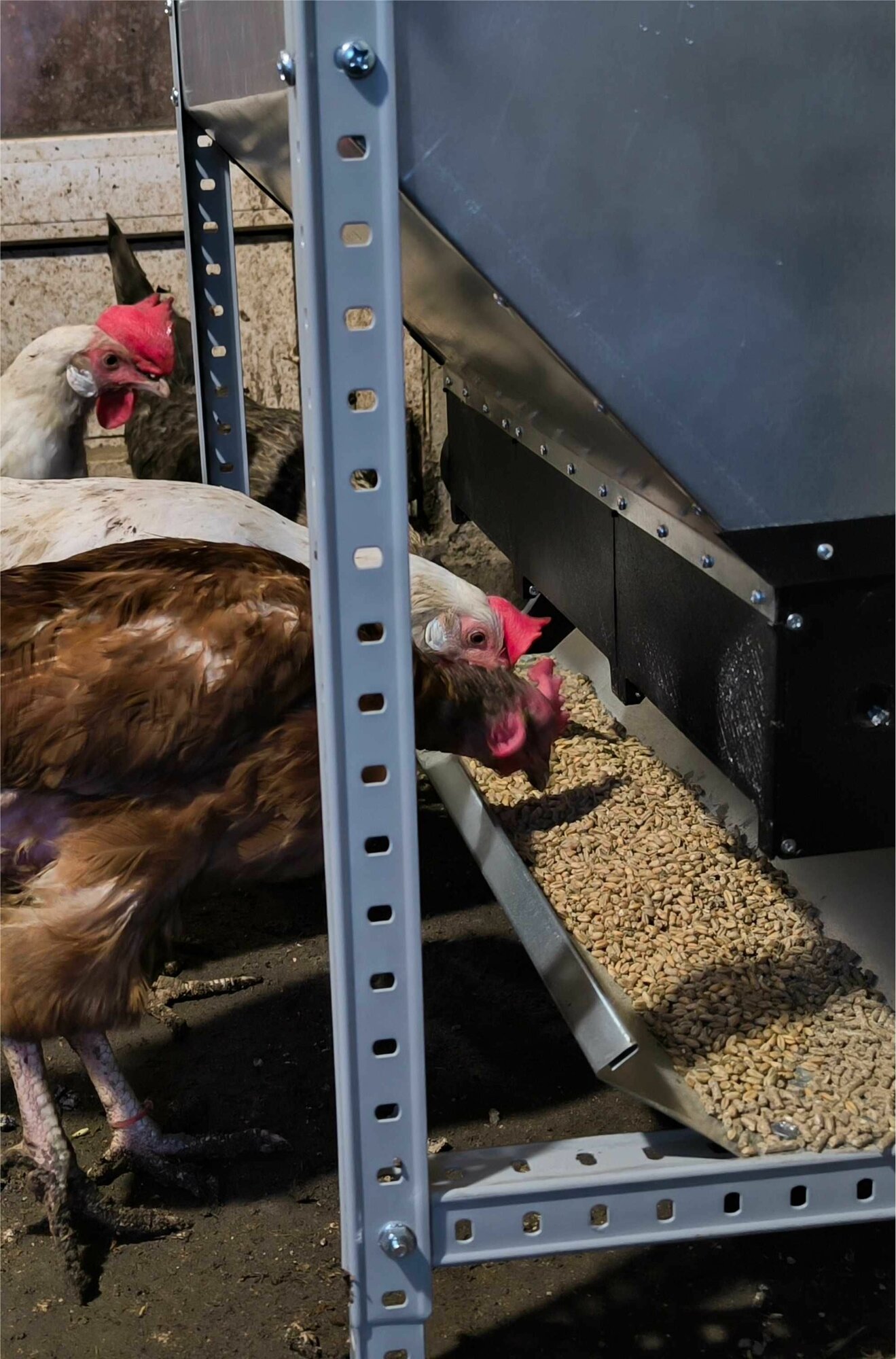 Бункерная кормушка с питателем