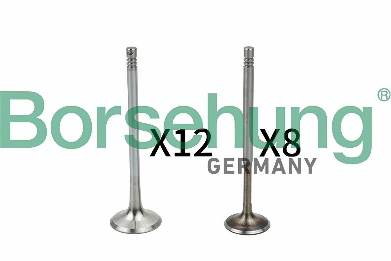 Комплект клапанов 12+8 шт для Шкода Октавия 1, Фольксваген Гольф 4, Поло, Пассат B5 B18635 BORSEHUNG