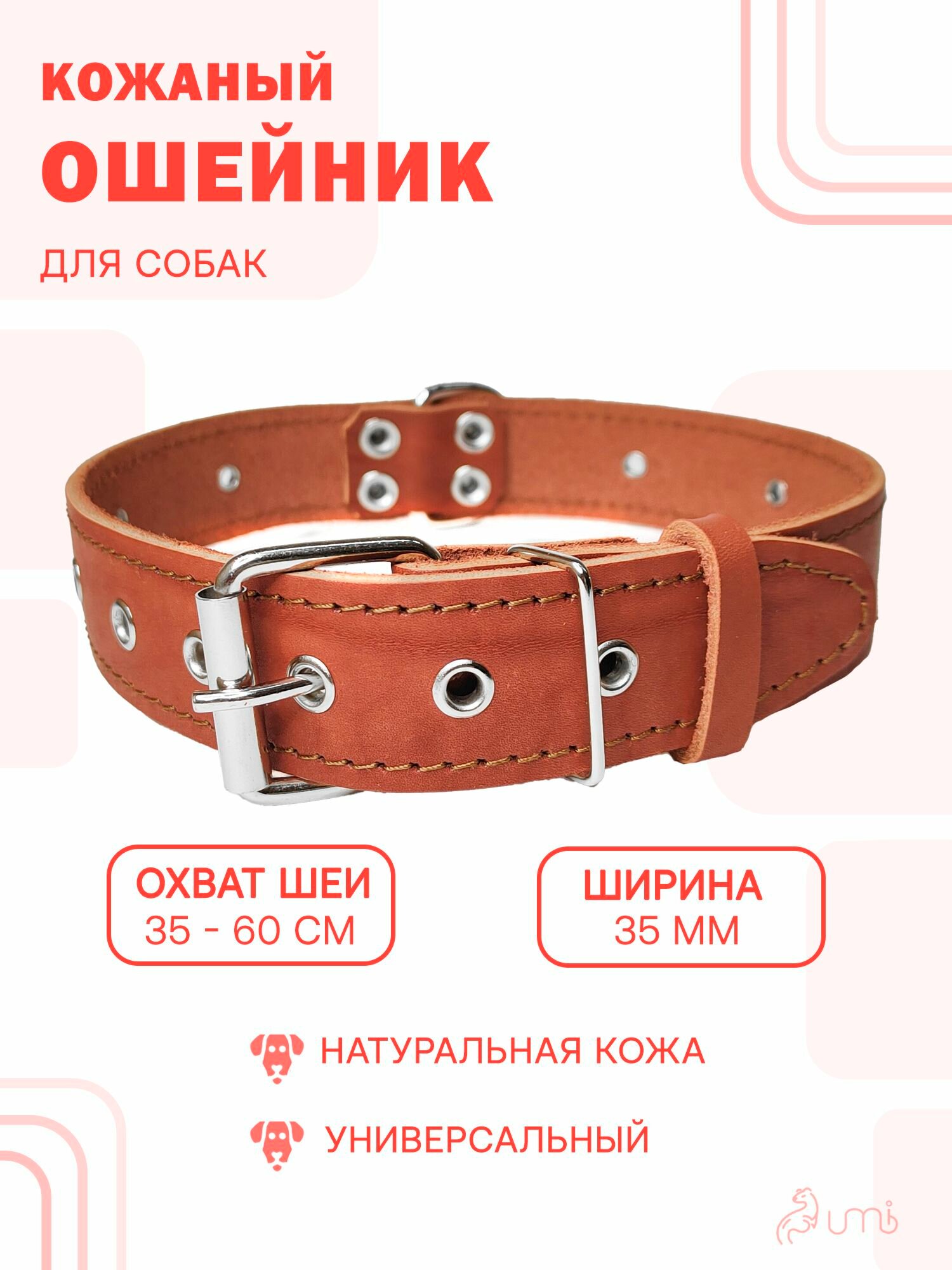 Кожаный ошейник (обхват шеи 35-60 см) для средней и крупной собаки