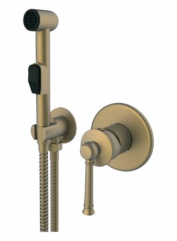 Смеситель встраиваемый для виде VIEIR V273553-D