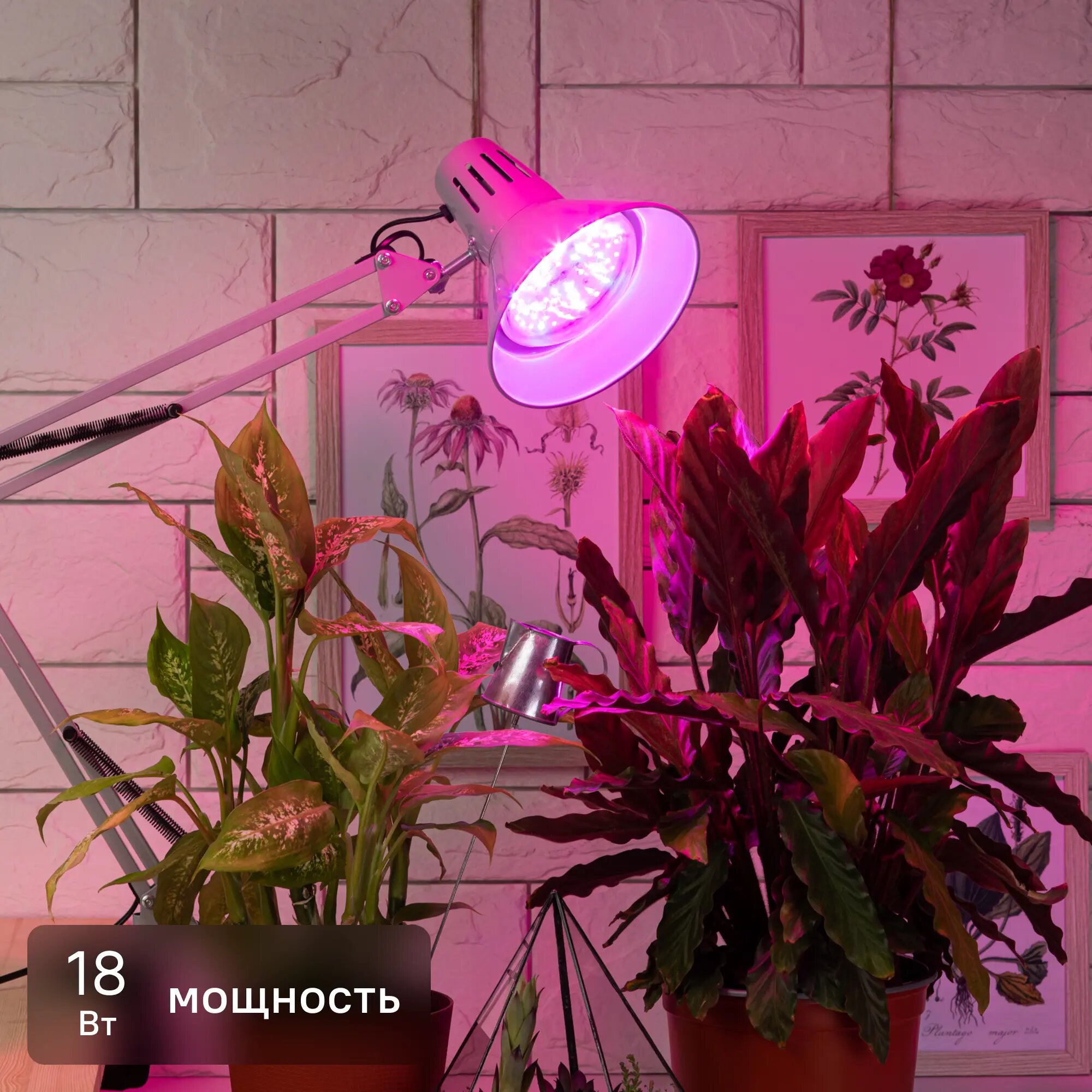 Эра fito 18 Вт RB E27 фитолампа для растений светло-розовый светодиодный спектр роста