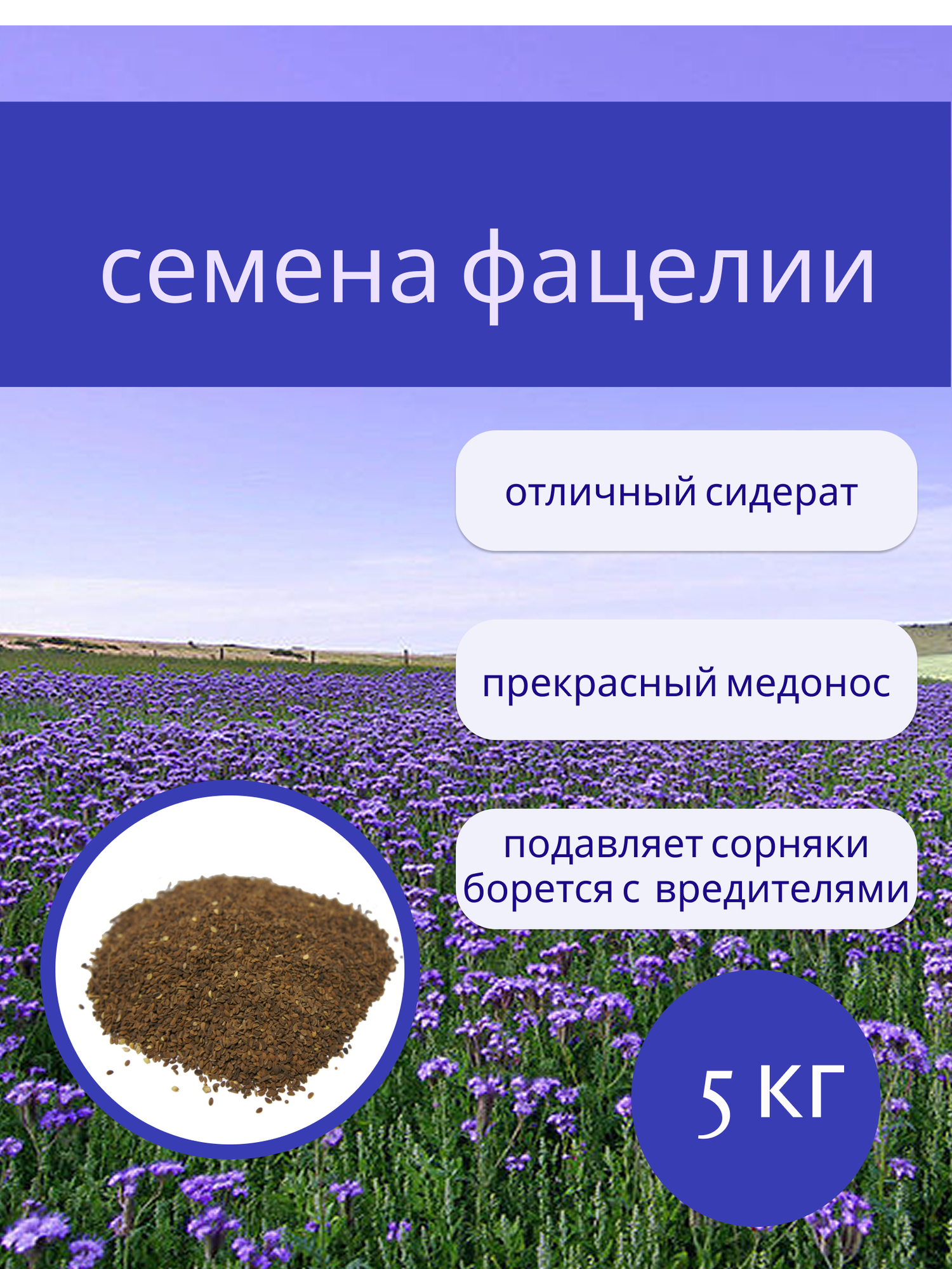 Семена фацелии пижмолистной 5 кг