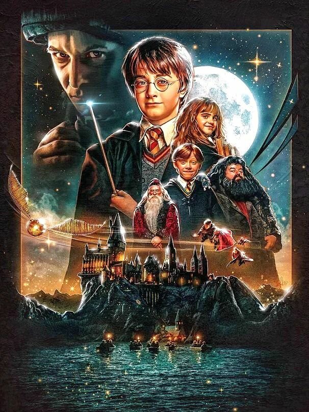 Алмазная картина "Гарри Поттер" алмазная огранка 40х50 см,40x50cm, белый