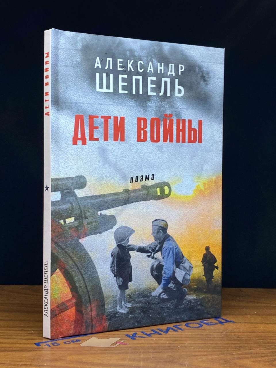 Книга. Дети войны 2021 (2044212707973)