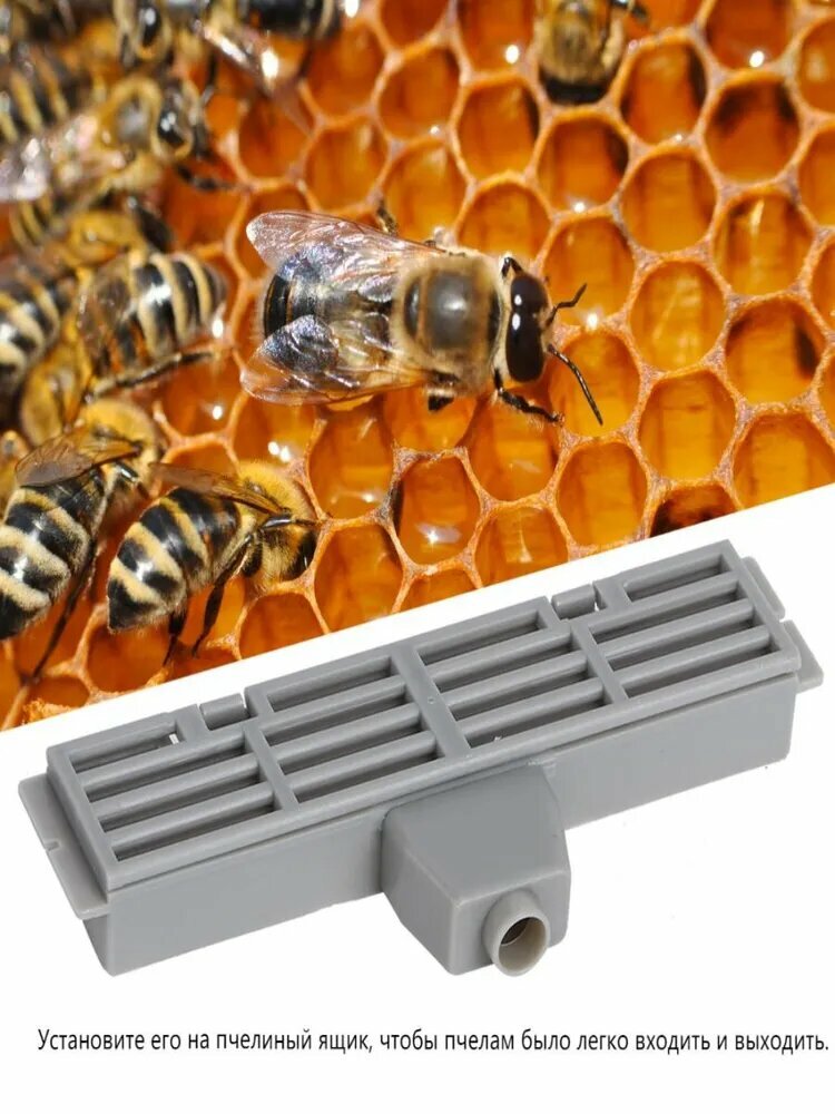 Устройство для защиты пчелиной матки от побега инструмент для пчеловодства 10ШТ