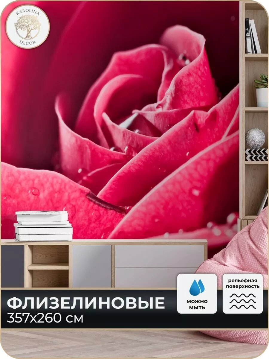 Фотообои Роза в детскую в спальню на кухню 350х260