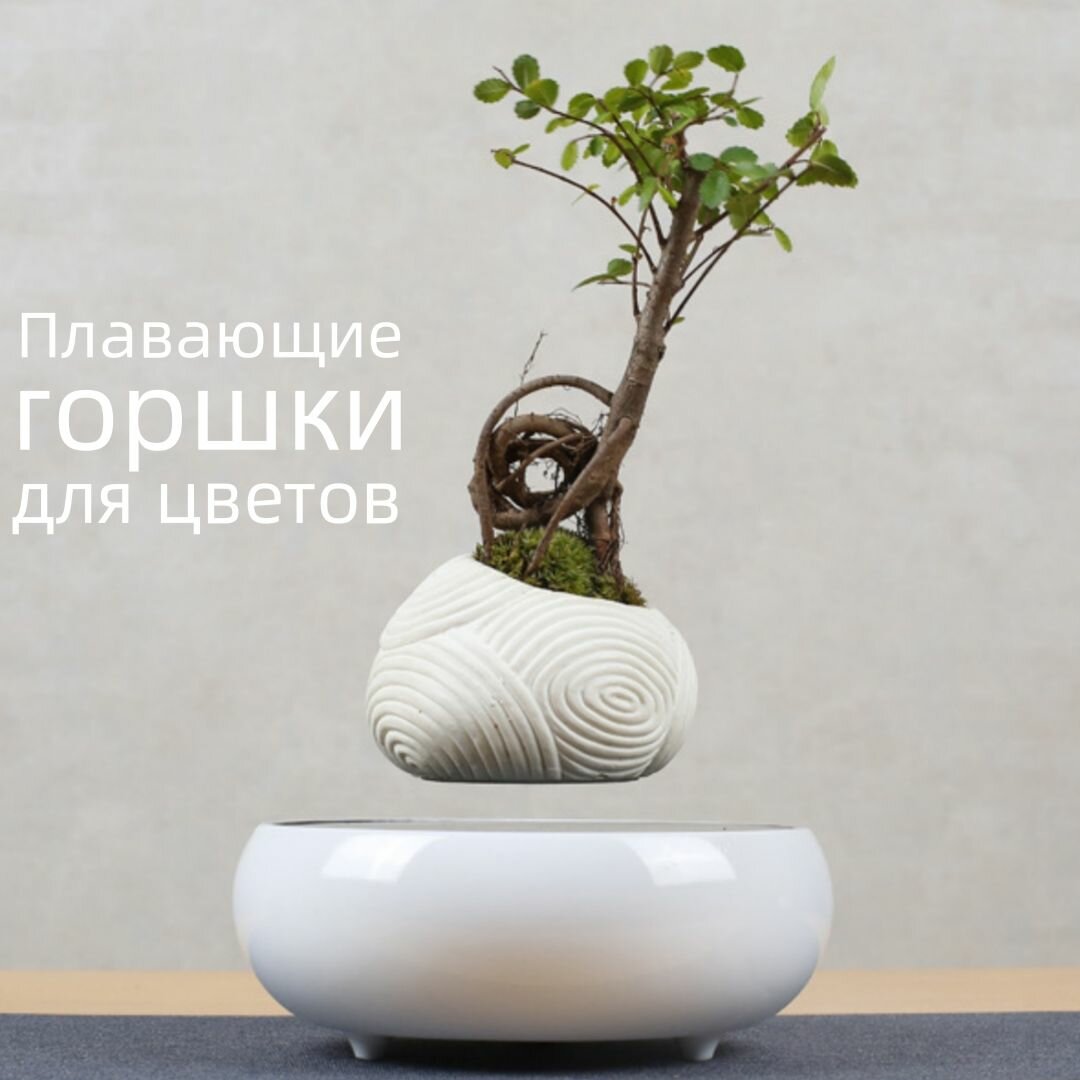 Левитирующий горшокmn