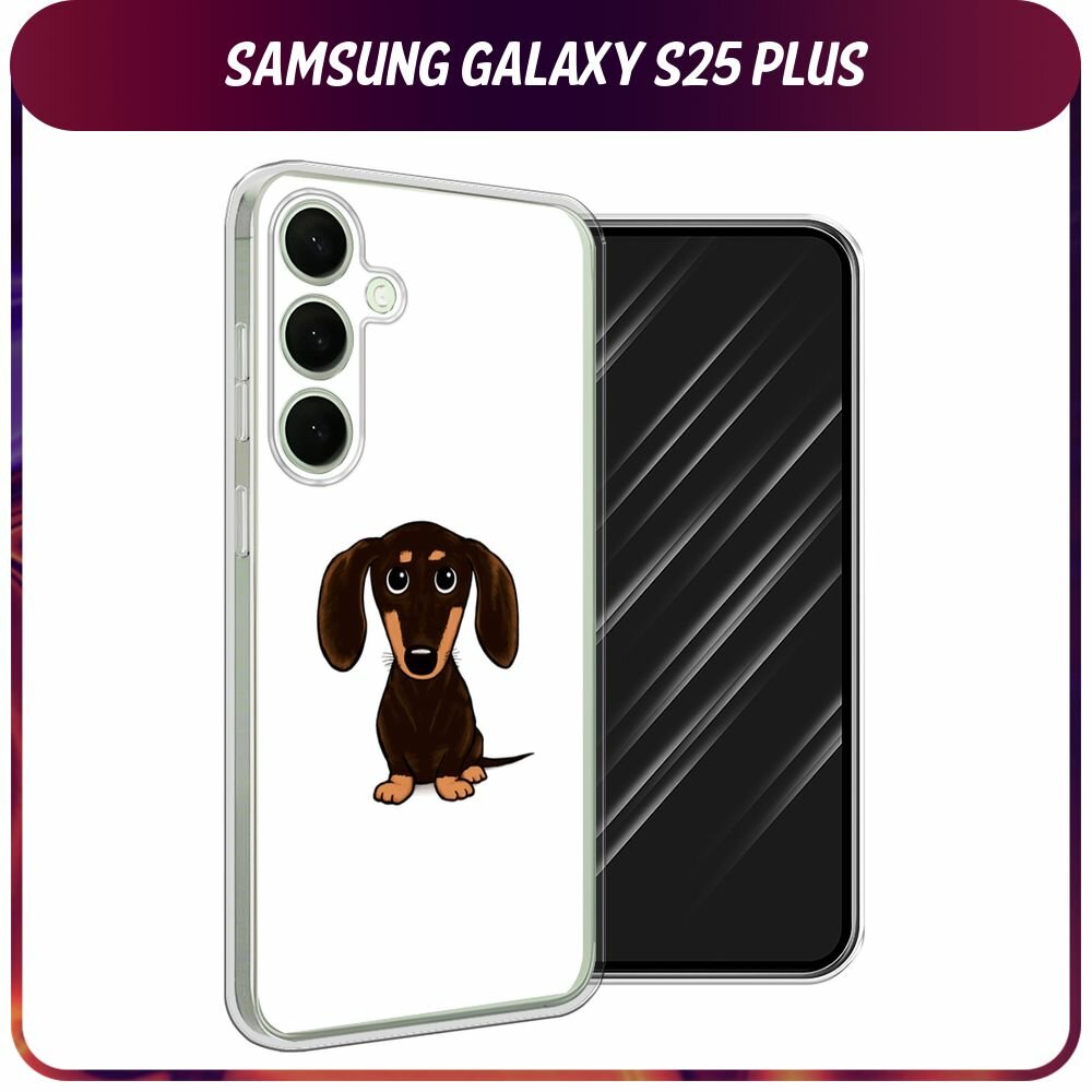 Чехол на Samsung Galaxy S25 Plus / Самсунг S25 Плюс с принтом "Маленькая такса"